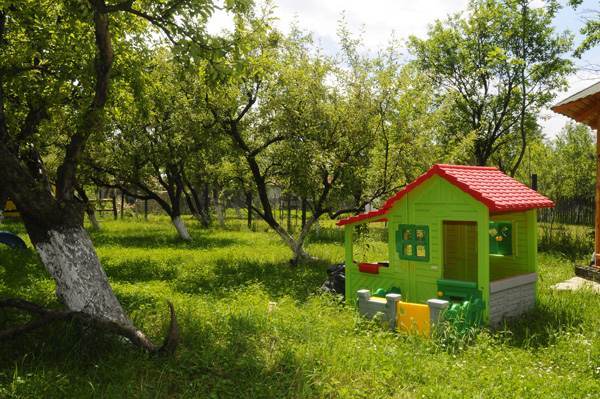 Gradina ca peisaj de tara - casamea.ro